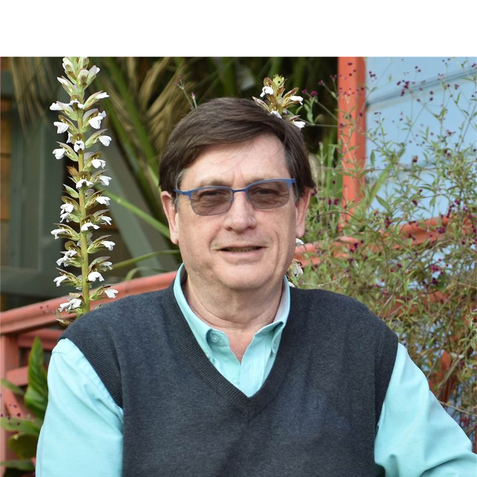 Alan Neely – Centro de Neurociencia Valparaíso