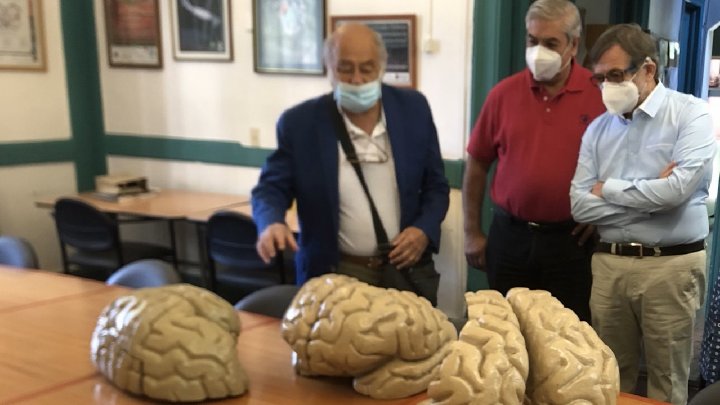 Donan modelos tridimensionales del cerebro al CINV – Centro de ...