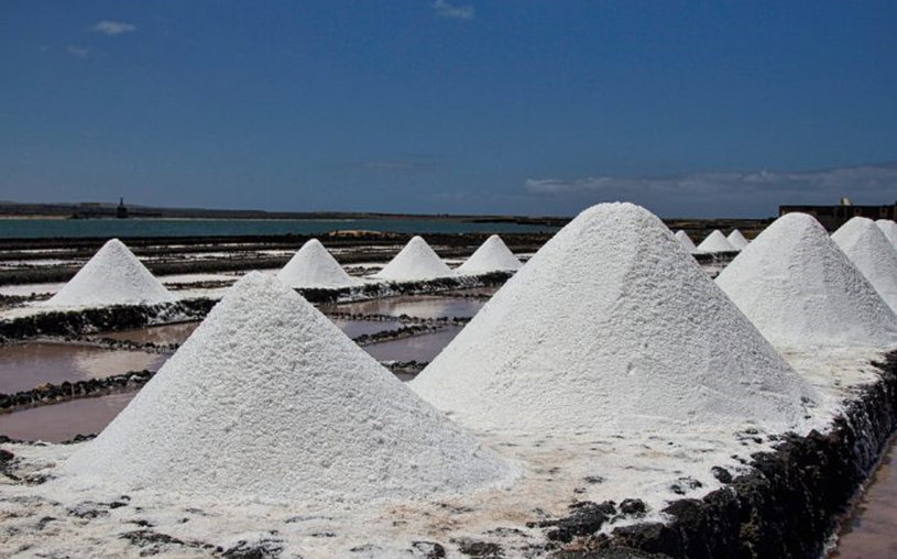 Endulzar la vida usando sal es posible – Centro de Neurociencia Valparaíso